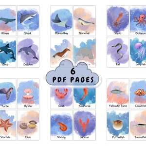 24 Ocean Creatures Flashcards, Toddler Flash Cards Preschool ...