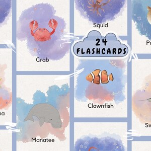 24 Ocean Creatures Flashcards, Toddler Flash Cards Preschool ...