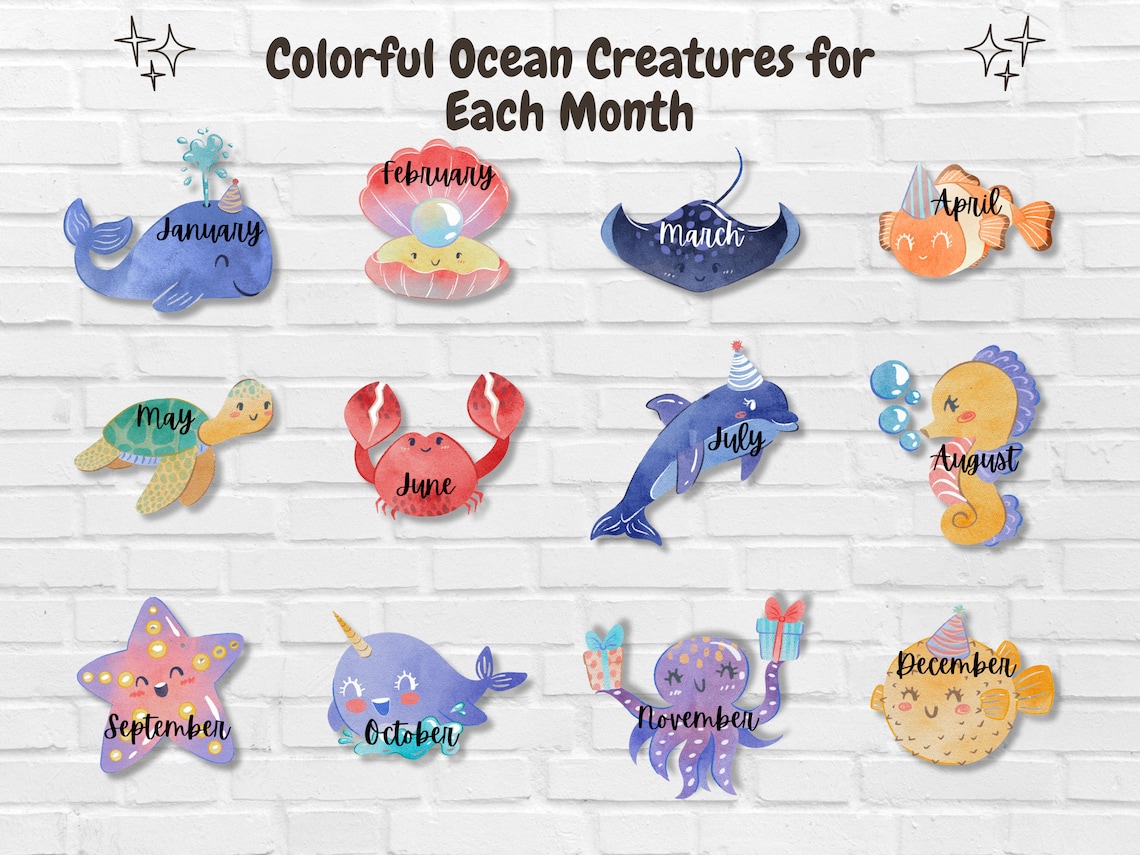 Ocean Classroom Birthday, Birthday Board Display, Kids Birthday Board ...