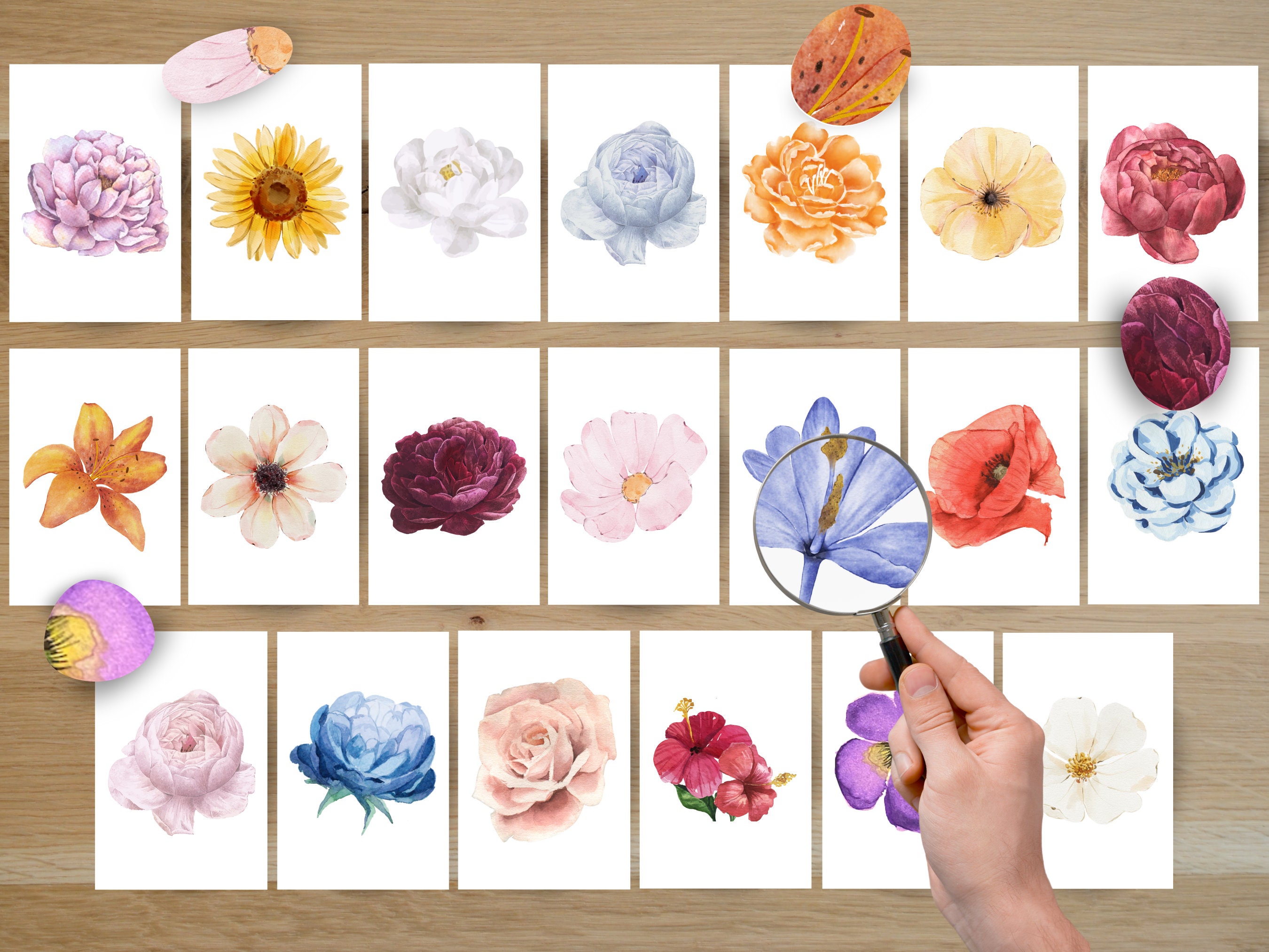 Pattern Matching Game for Kids, Floral Nature Study Matching ...