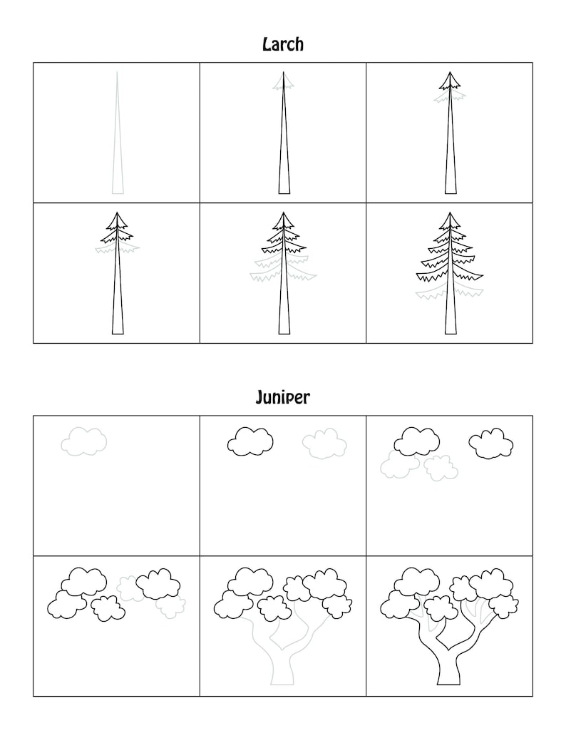 How to Draw Everything: A Book With Step-by-step Guide and Practice ...