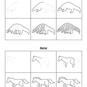 How to Draw Everything: A Book With Step-by-step Guide and Practice ...