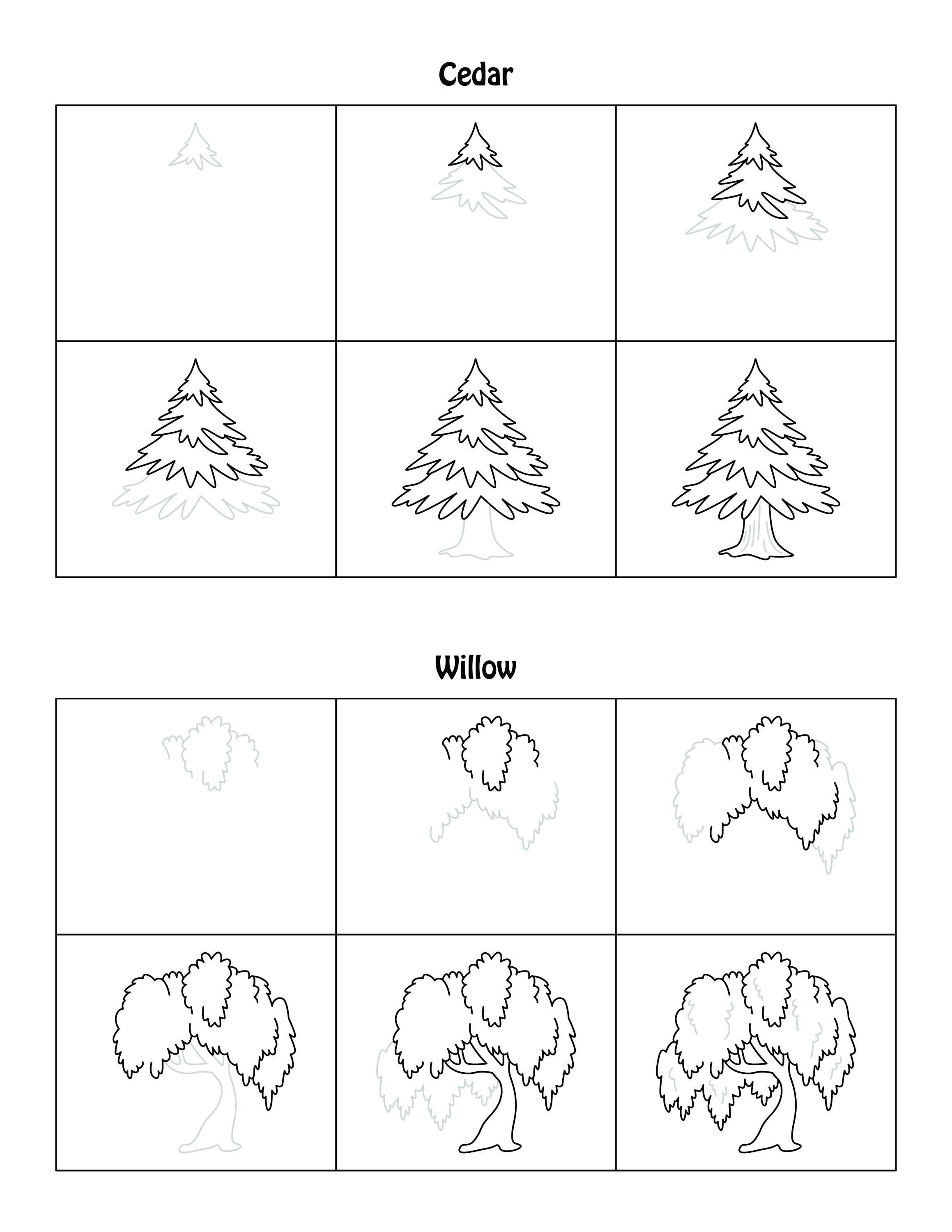 How to Draw Everything: A Book With Step-by-step Guide and Practice ...
