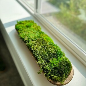 19” Preserved Moss Dough Bowl Table Centerpiece, Rustic Decor, Table ...