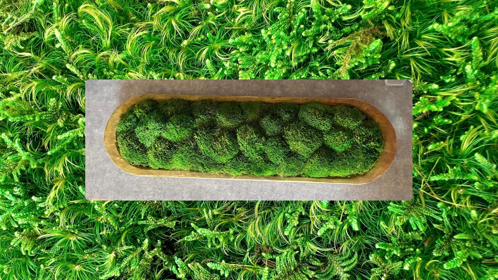 Preserved Moss Centerpiece, 40" X 12” Wooden Dough Bowl, Natural Home ...