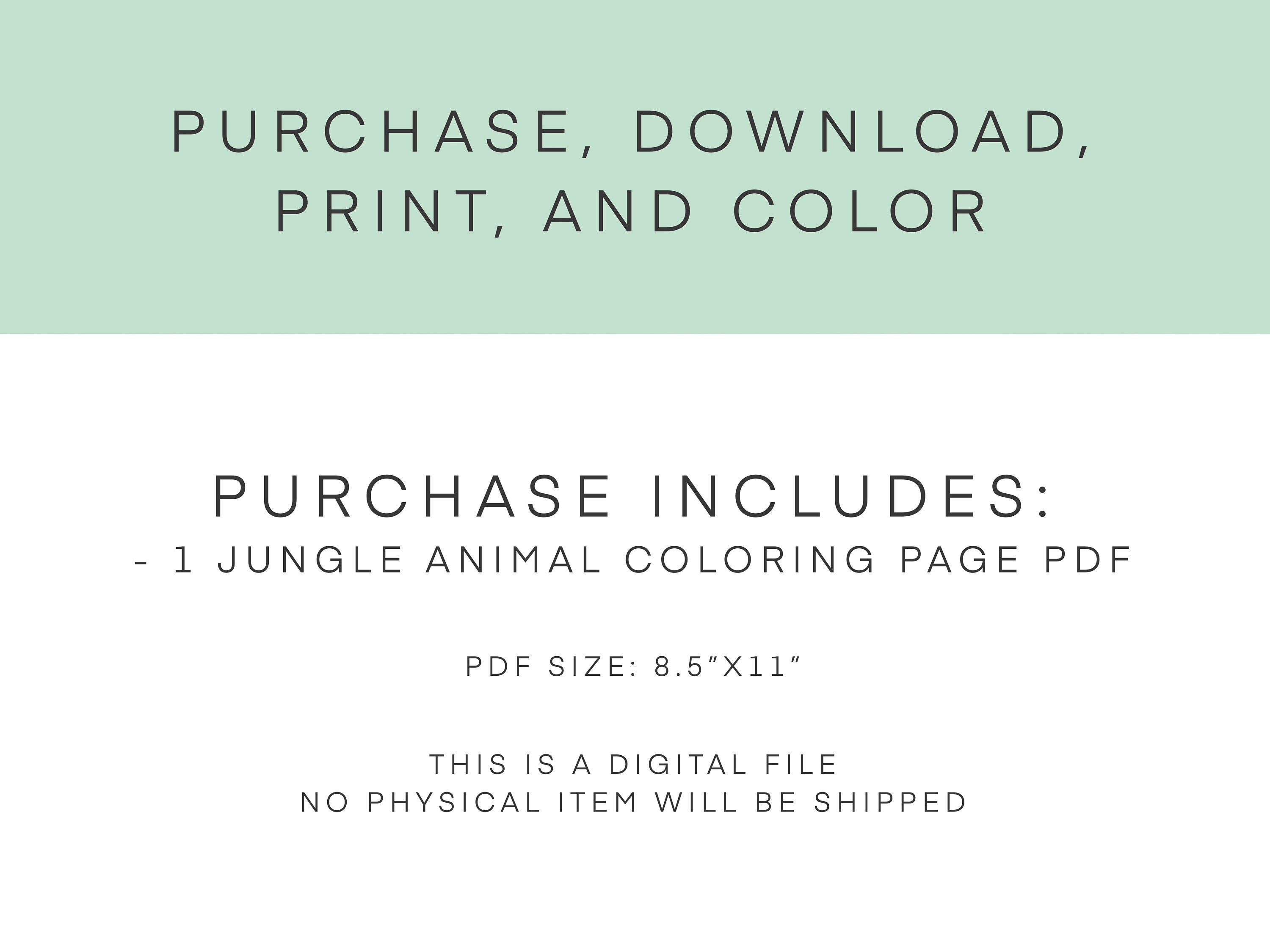 Jungle Animals Printable Coloring Page, African Safari Animals Activity ...