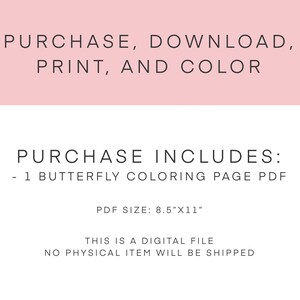 Butterfly Printable Coloring Page, Butterfly Activity Sheet, Kid's ...
