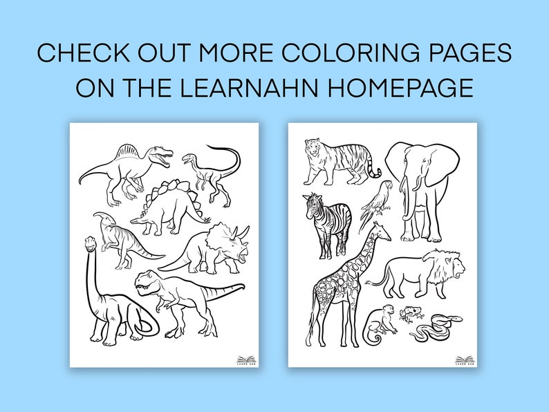 Ocean Animals Printable Coloring Page Under the Sea Activity - Etsy