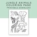 Jungle Animals Printable Coloring Page, African Safari Animals Activity ...
