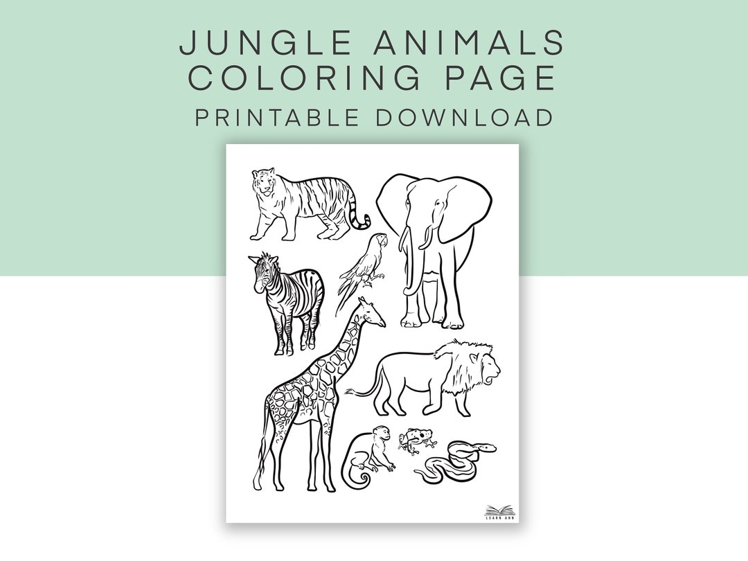 Jungle Animals Printable Coloring Page African Safari Animals - Etsy