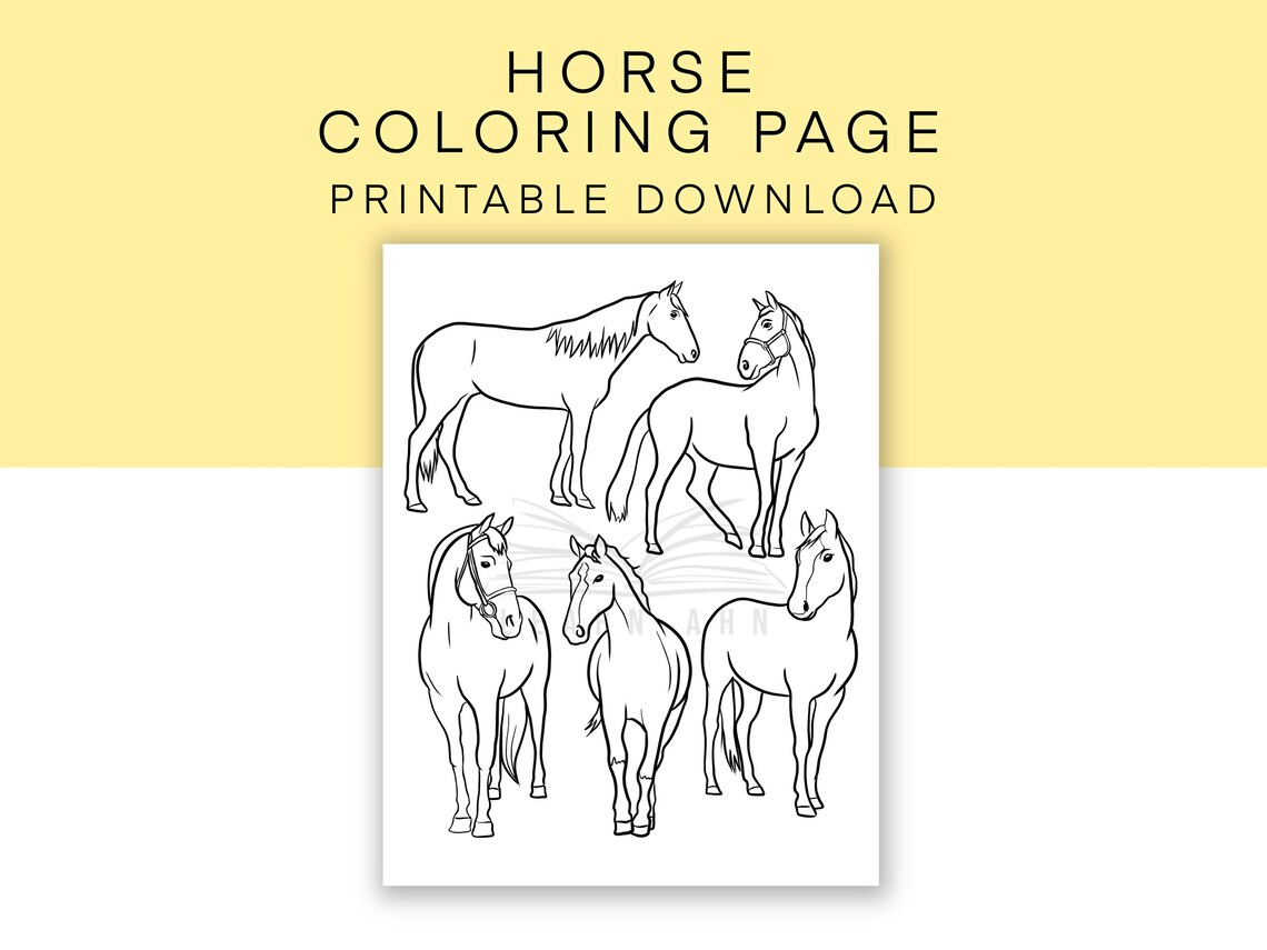 Horse Coloring Page, Printable Coloring for Kids, PDF Printable ...