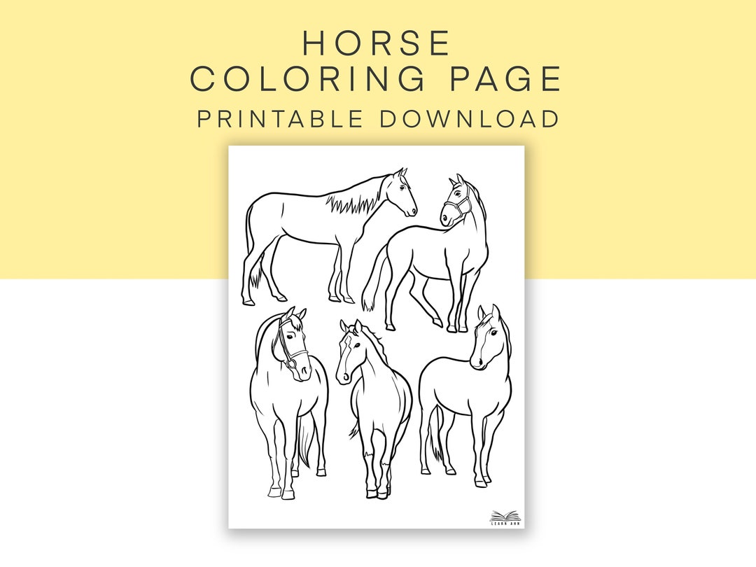 Horse Coloring Page Printable Coloring for Kids PDF - Etsy