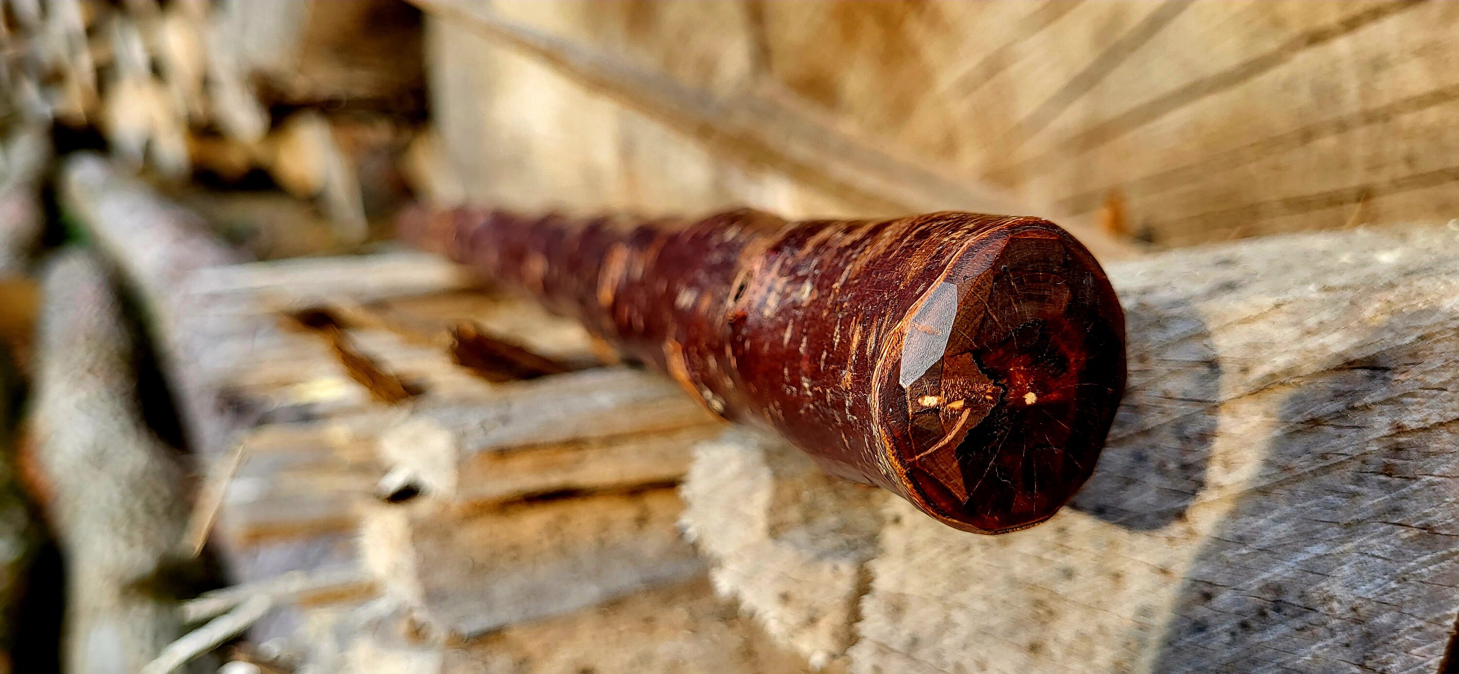 Irish Blackthorn Stick, Blackthorn Stick - Etsy