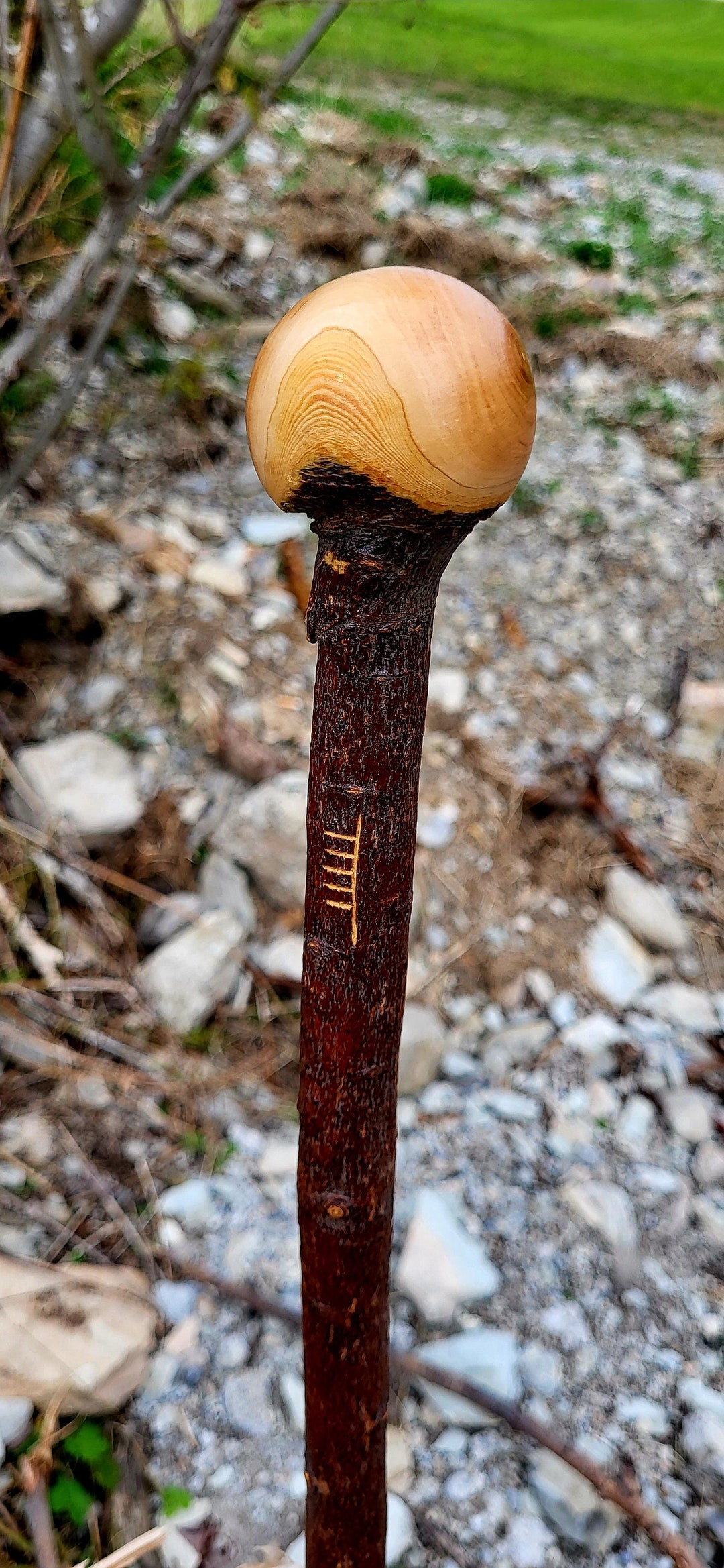 Apple Tree Walking Stick, Apple Tree Wood Walking Stick - Etsy UK