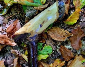 Irish Blackthorn Walking Stick, Cane. Handmade in Ireland. the Stick ...