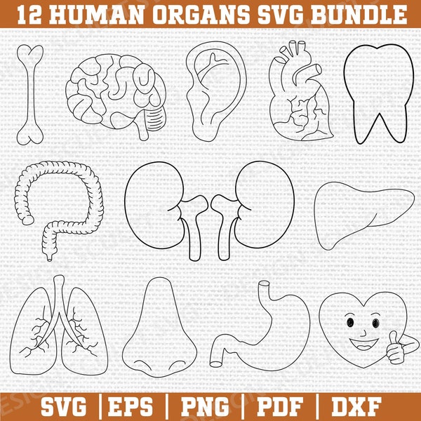 Human Body Parts Svg - Etsy