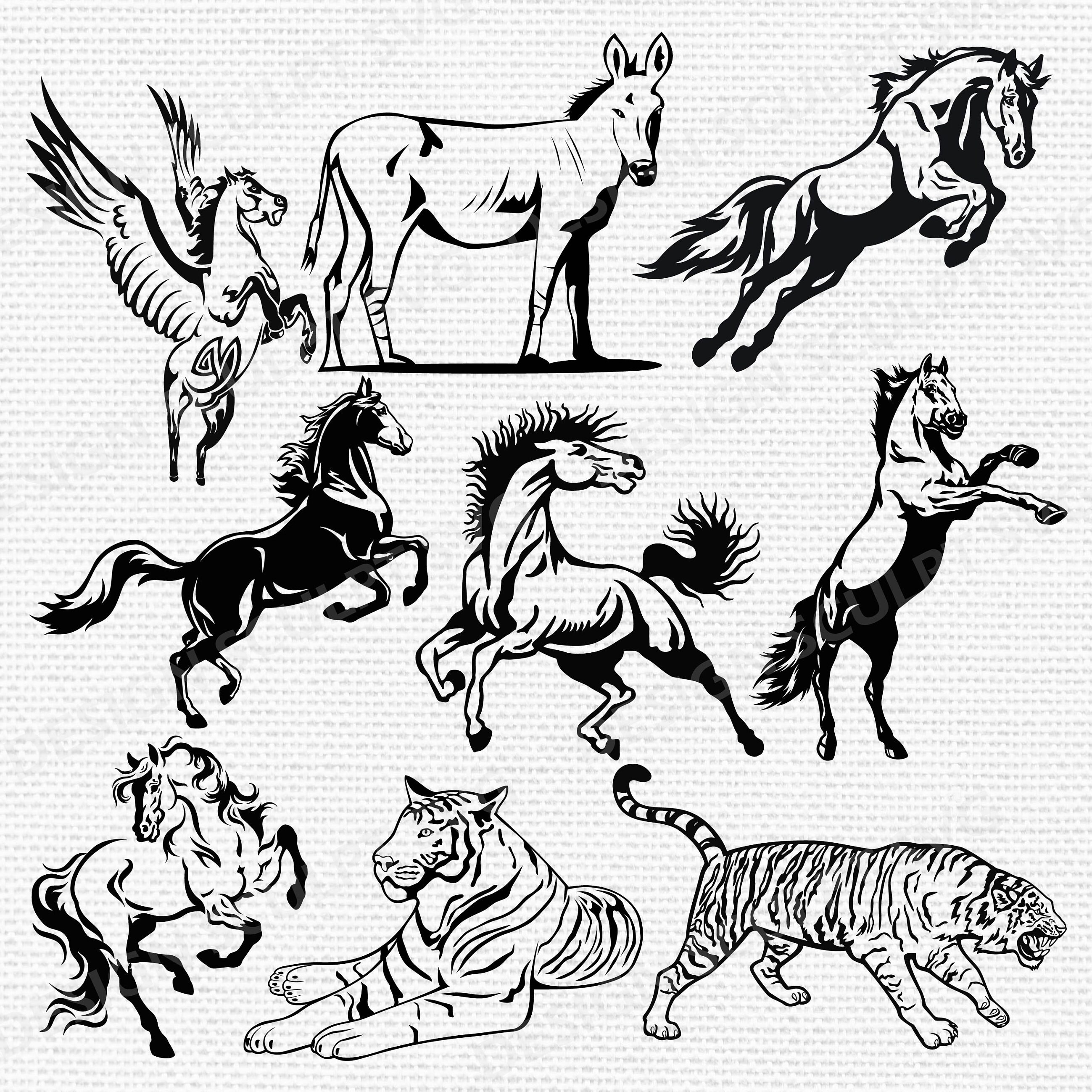 Animal Svg Bundle, Animal Face Svg, Safari Animal Svg, Cute Animal Svg ...