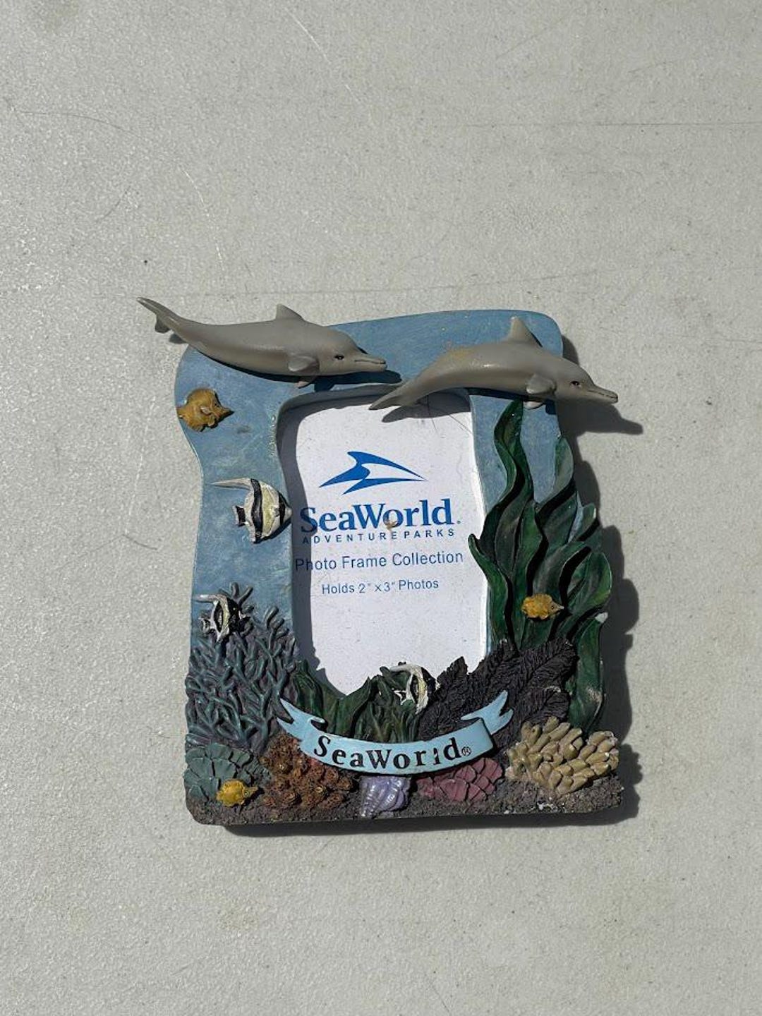 Seaworld Adventure Parks Dolphin Photo Frame Vintage (2004) - Etsy