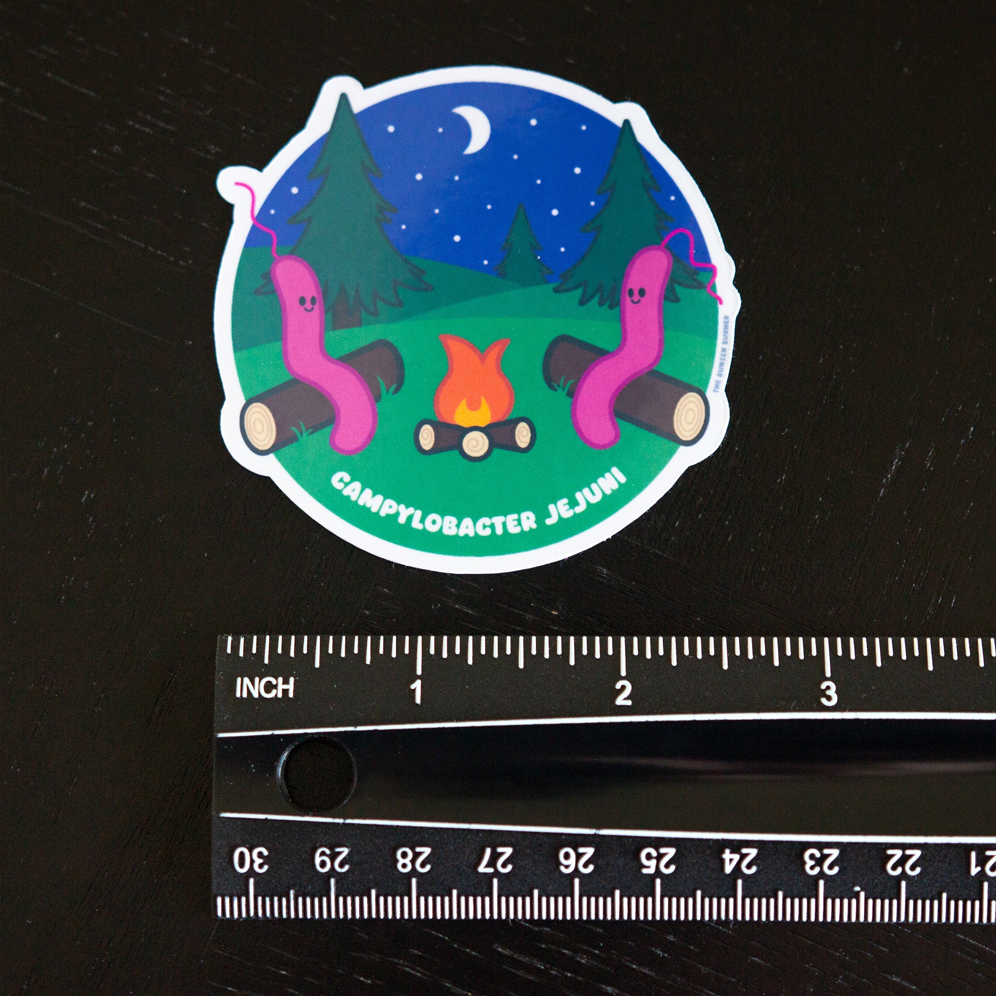 Campylobacter Bacteria Sticker, Microbiology Sticker, Med Tech Gift ...