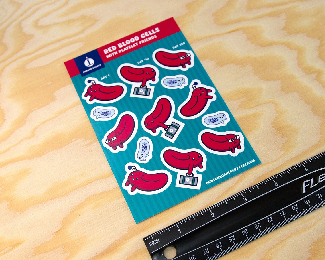 Cute Red and White Blood Cell Sticker Sheets, Anatomy and Physiology ...