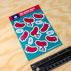 Cute Red and White Blood Cell Sticker Sheets, Anatomy and Physiology ...