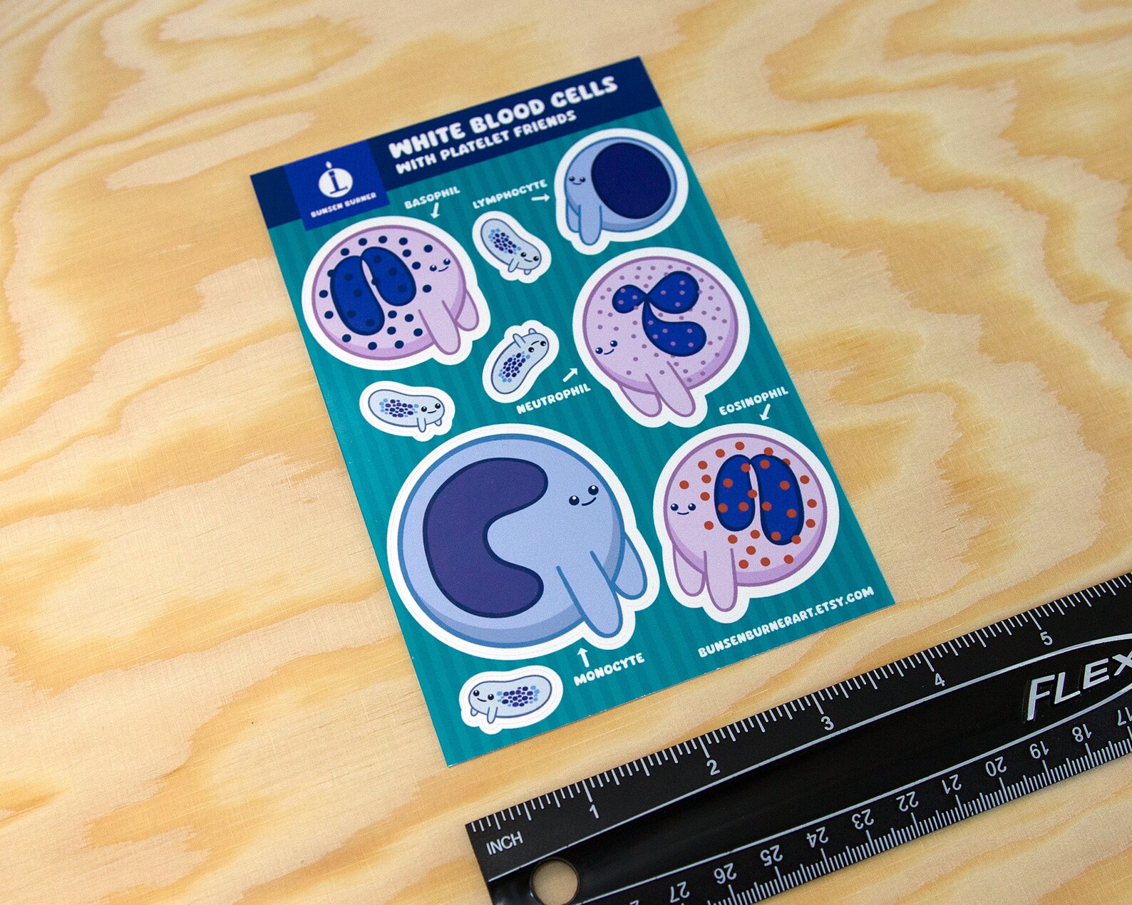 Cute Red and White Blood Cell Sticker Sheets, Anatomy and Physiology ...