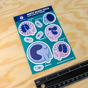 Cute Red and White Blood Cell Sticker Sheets, Anatomy and Physiology ...