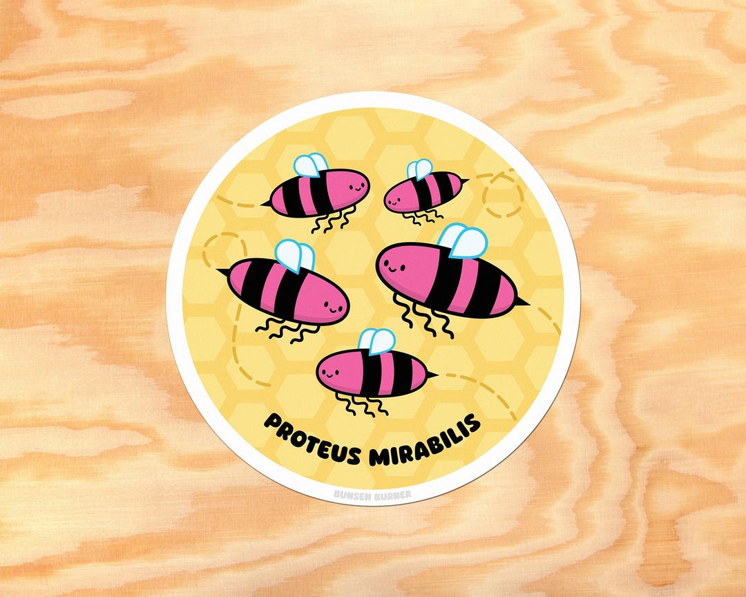 Proteus Mirabilis Swarming Bacteria Sticker, Microbiology Sticker, Med ...