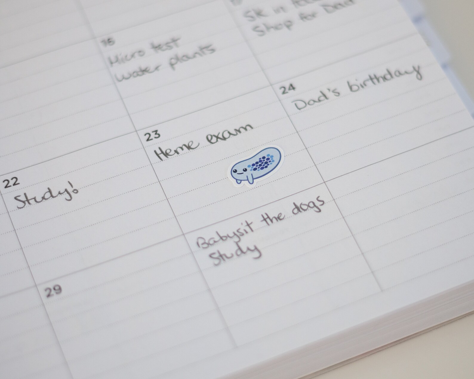 Cute Red and White Blood Cell Sticker Sheets, Anatomy and Physiology ...