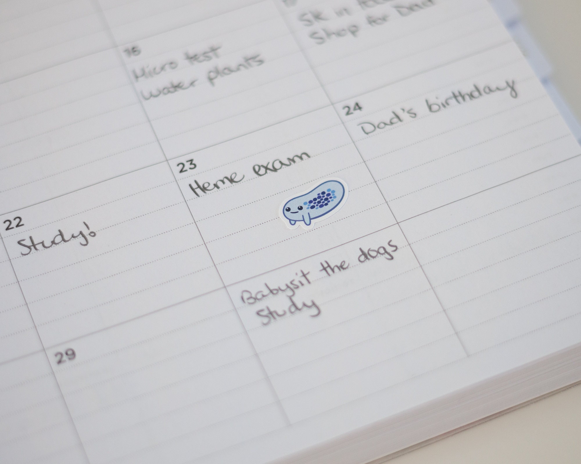 Cute Red and White Blood Cell Sticker Sheets, Anatomy and Physiology ...