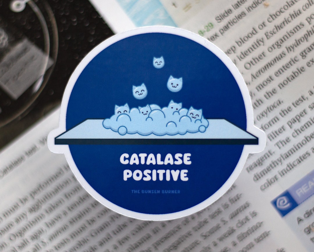 Catalase Positive Reaction Microbiology Sticker, Micro Gift, Cute ...