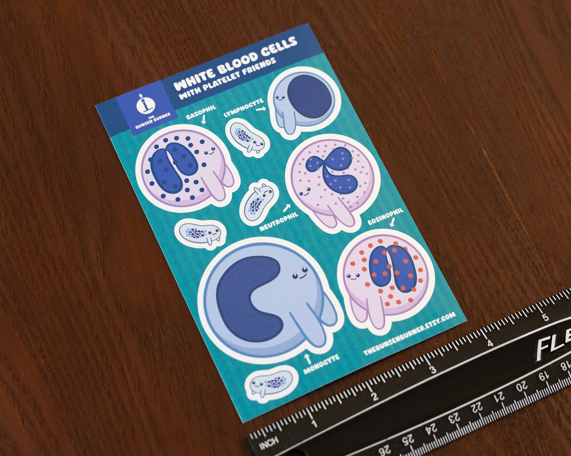 Cute Red and White Blood Cell Sticker Sheets, Anatomy and Physiology ...