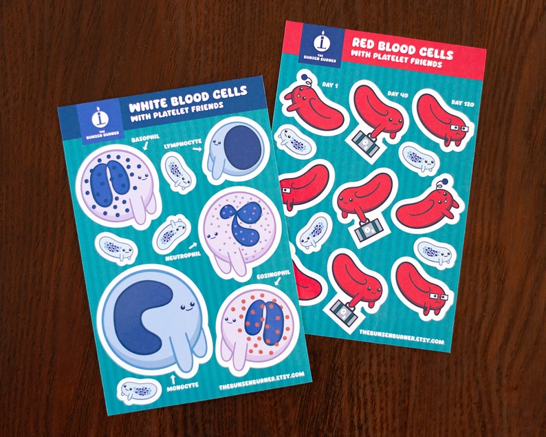 Cute Red and White Blood Cell Sticker Sheets, Anatomy and Physiology ...