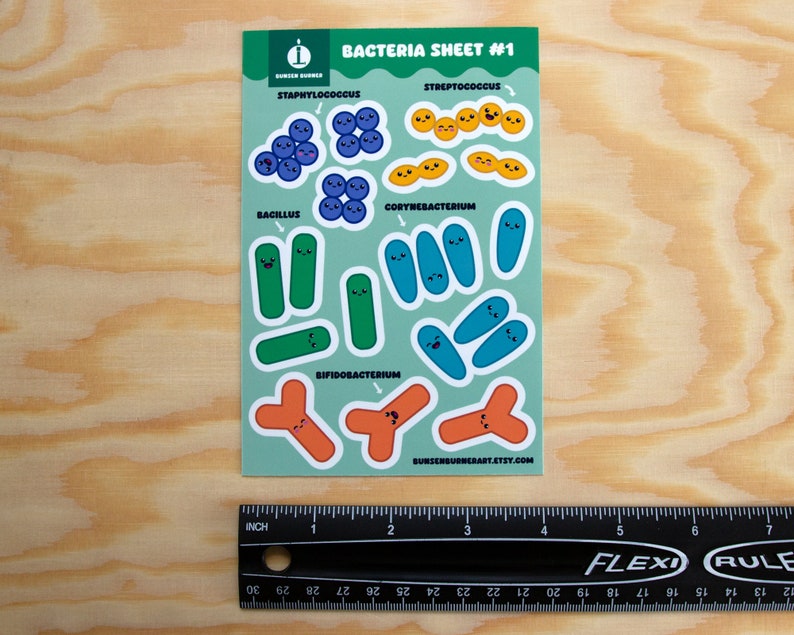 Cute Bacteria Sticker Sheets, Clinical Microbiology Art Gift, Kawaii ...