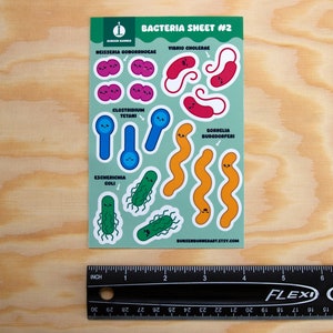 Cute Bacteria Sticker Sheets, Clinical Microbiology Art Gift, Kawaii ...