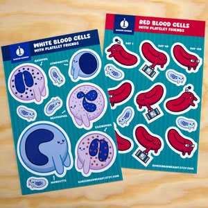 Cute Red and White Blood Cell Sticker Sheets, Anatomy and Physiology ...