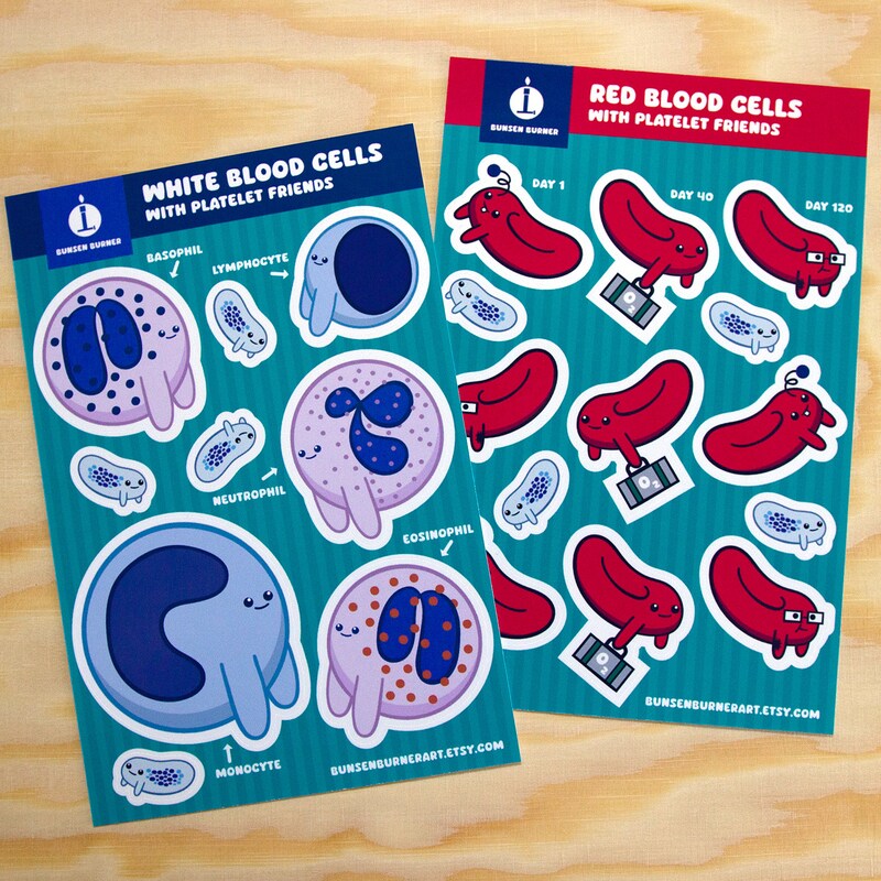 Blood Cell - Etsy