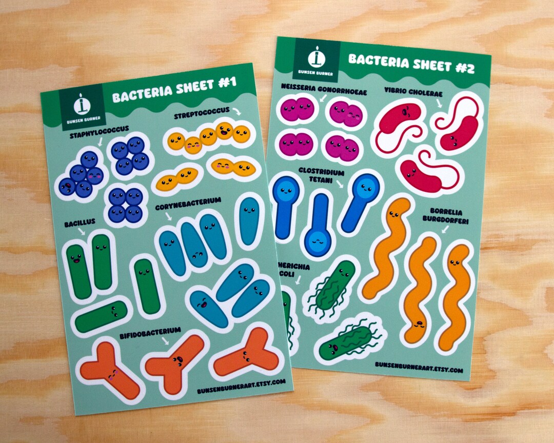 Cute Bacteria Sticker Sheets, Clinical Microbiology Art Gift, Kawaii ...