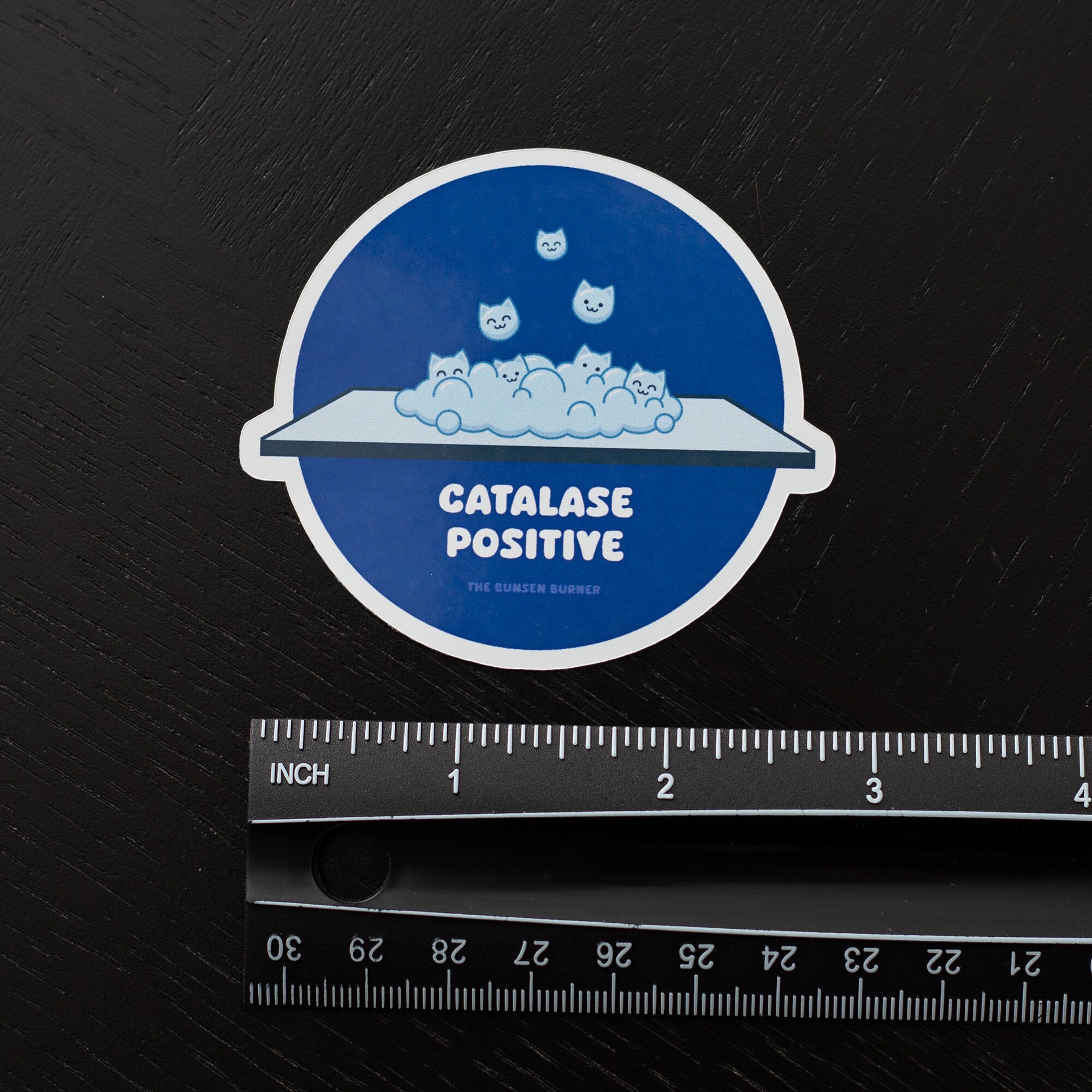 Catalase Positive Reaction Microbiology Sticker, Micro Gift, Cute ...