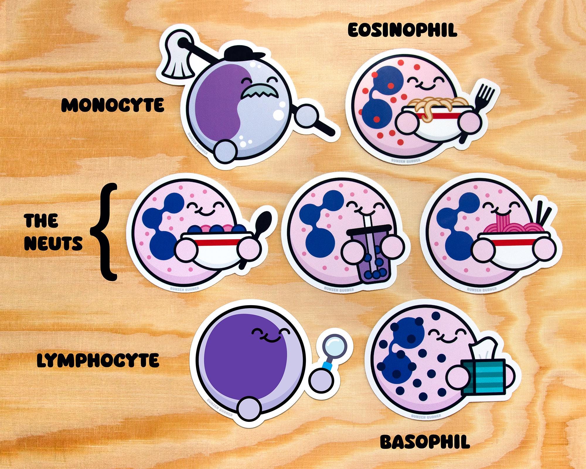 Cute White Blood Cell Stickers for Hematologists, Leukocyte Decals for ...