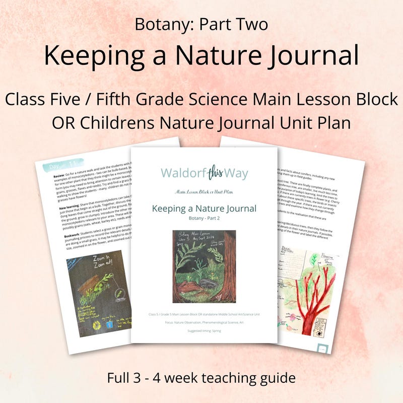 Observation Lesson Plan - Etsy