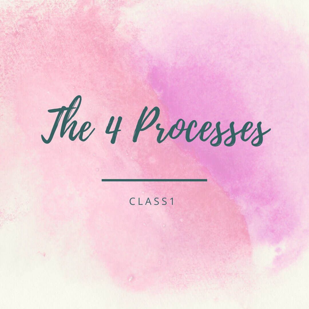 The Four Operations First Grade Math Main Lesson Block Curriculum ...