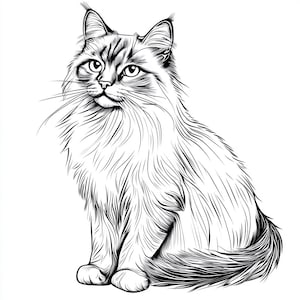 24 Cat Themed Colouring Pages - Etsy
