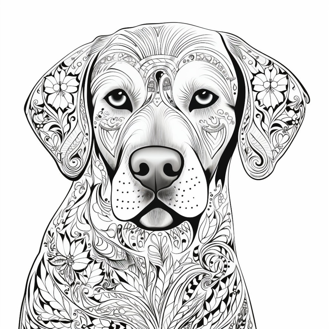 Coloring Book Pages - Dogs, Cats, Birds, Lions, Elephants, and Birds of ...