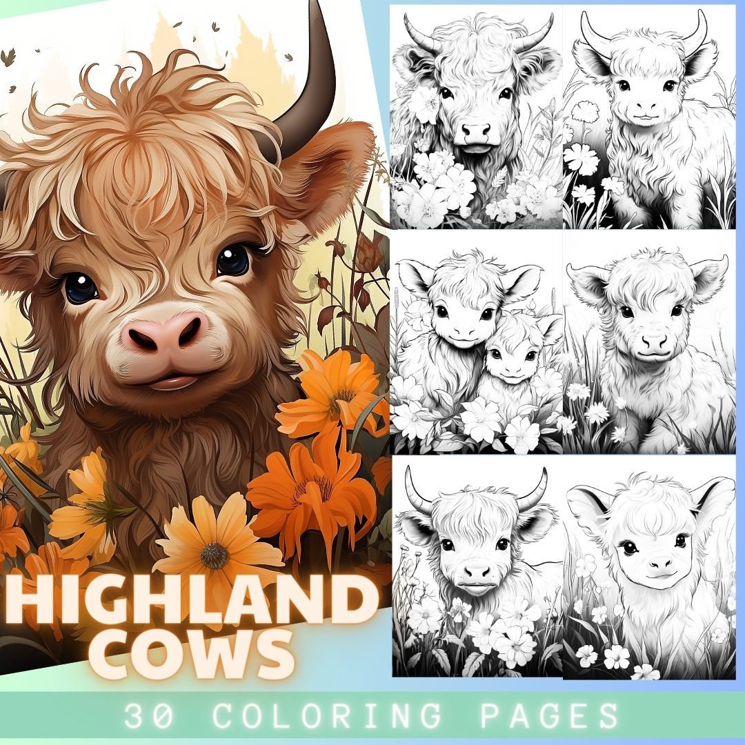 Highland Cowns Coloring Pages Book Stress Relief Farm Babies Autumn ...