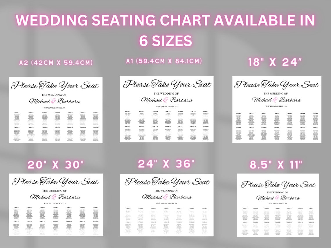 Infographic Wedding Program Template, Editable Reception Program, Funny ...