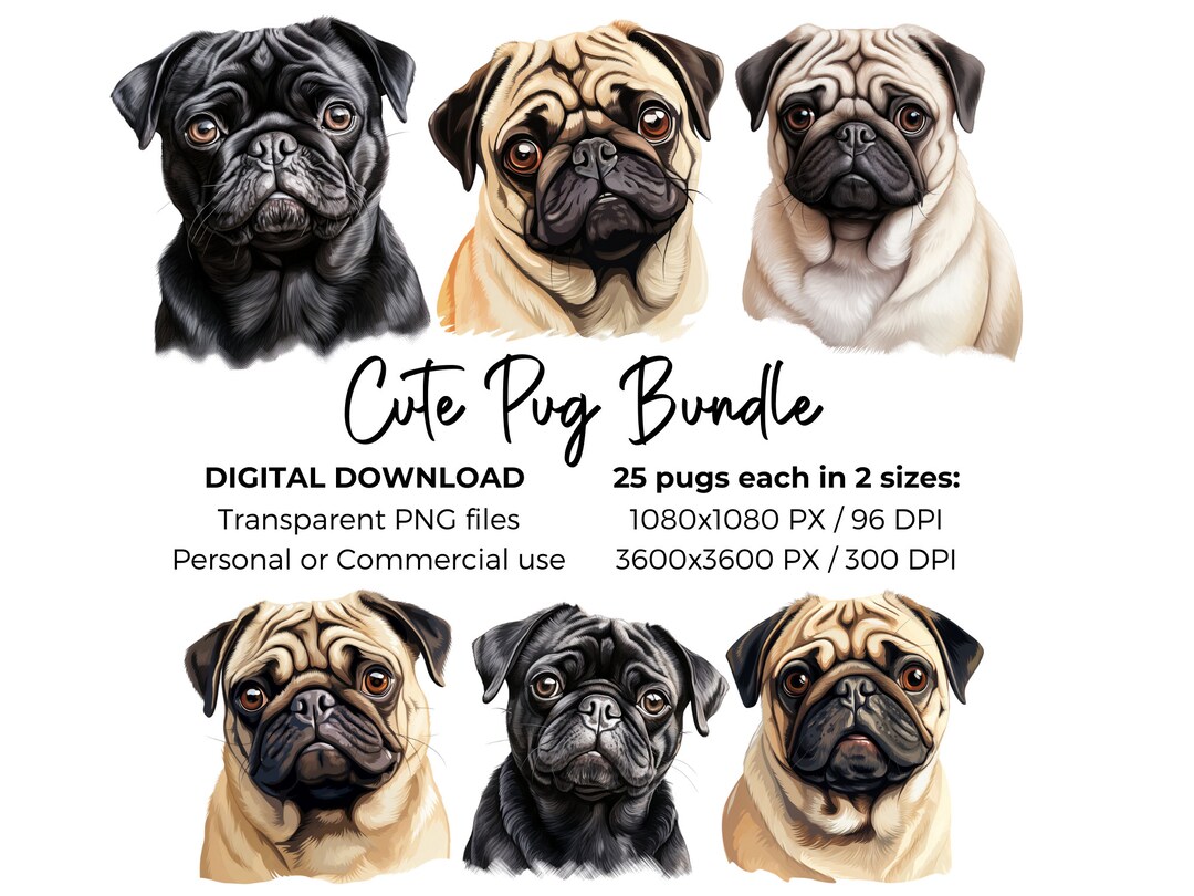Cute Pug Clip Art 25 Transparent PNG Files Instant Download - Etsy
