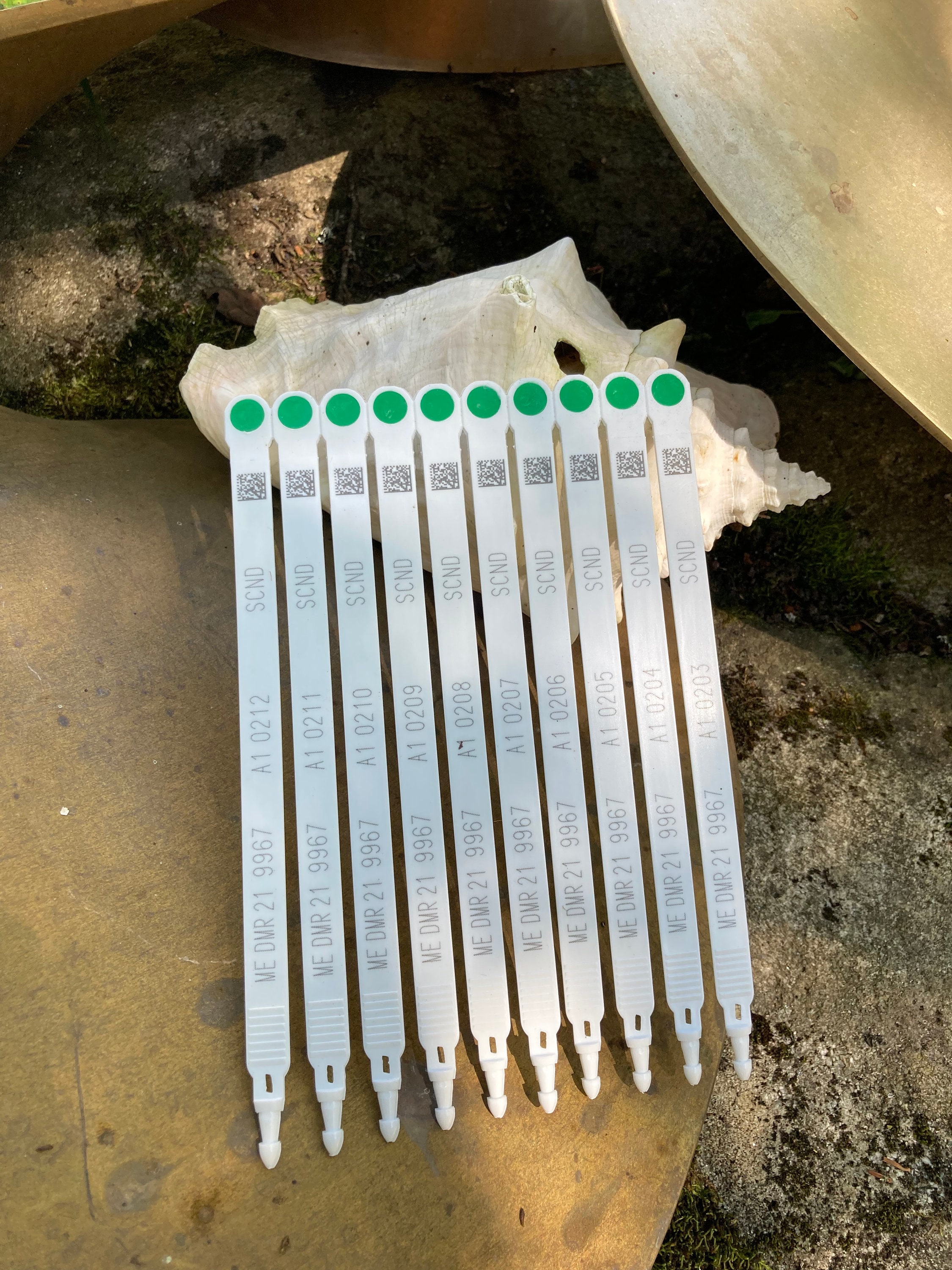 One of a Kind Lobster Trap Tags - Etsy