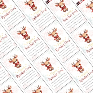 Printable Magical Reindeer Food Tag Template, DIY Editable Christmas ...