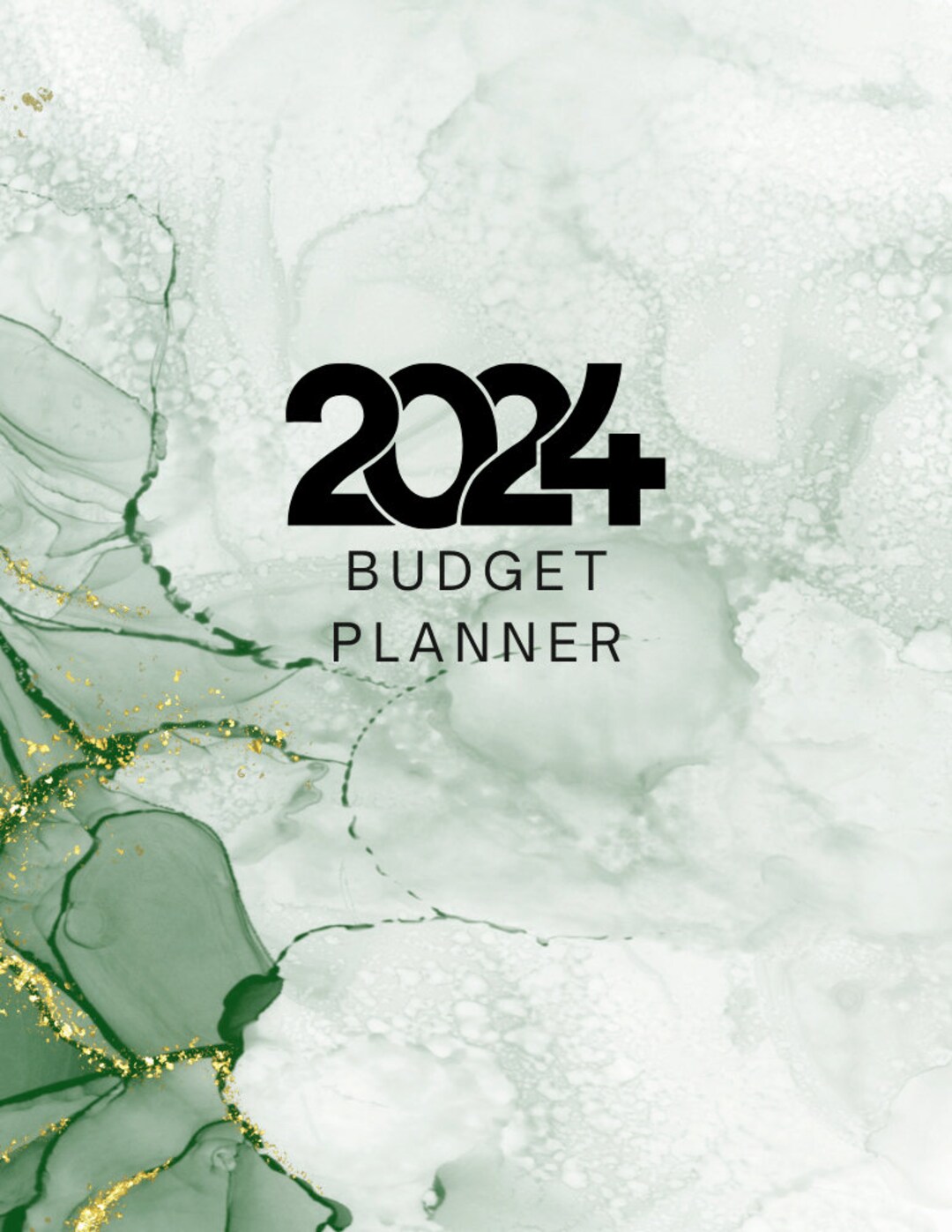 2024 Budget Planner printable - Etsy